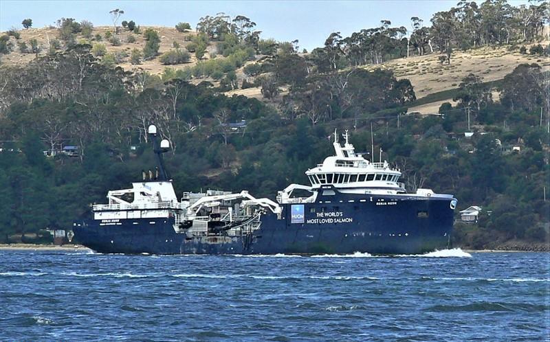 RONJA HUON - Vesseljoin