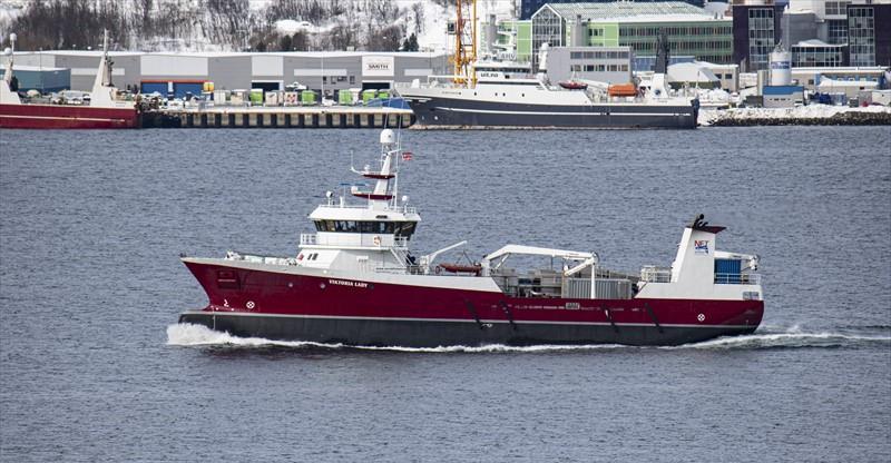 VIKTORIA LADY - Vesseljoin