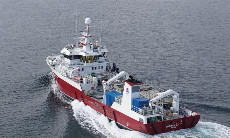 VIKTORIA LADY - Vesseljoin