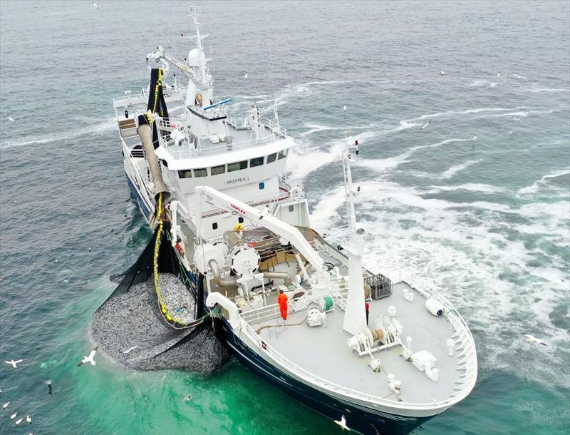 ANDREA L - Vesseljoin