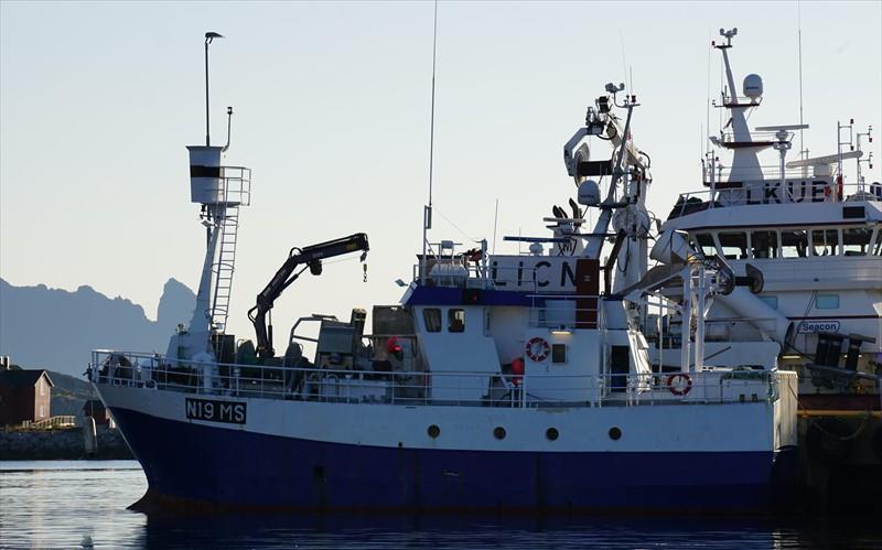 ANNA SOFIE - Vesseljoin