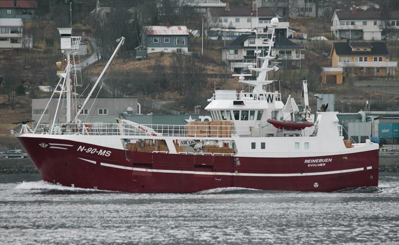 REINEBUEN - Vesseljoin