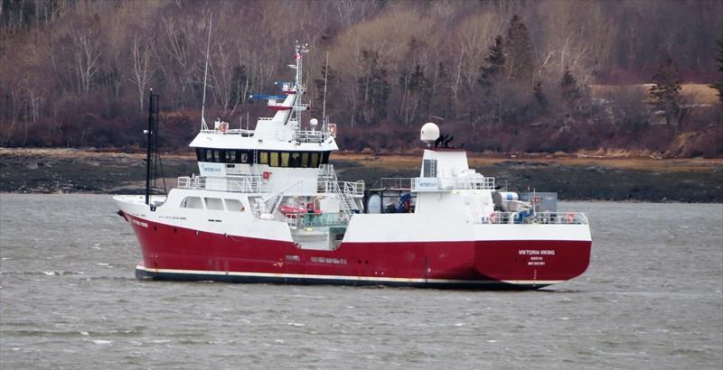 VIKTORIA VIKING - Vesseljoin