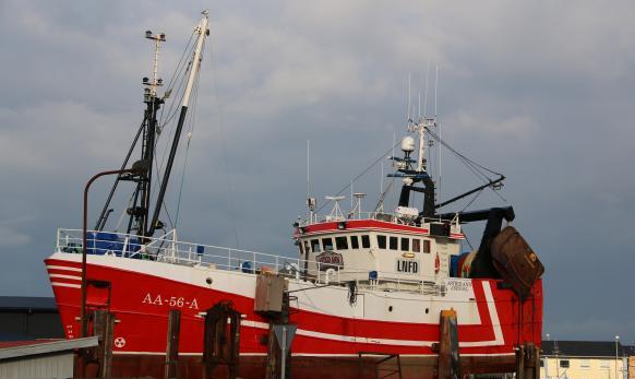 ASTRID ANN - Vesseljoin