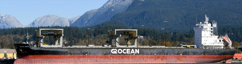 MERLIN ARROW - Vesseljoin