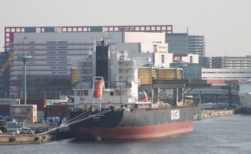 MERLIN ARROW - Vesseljoin