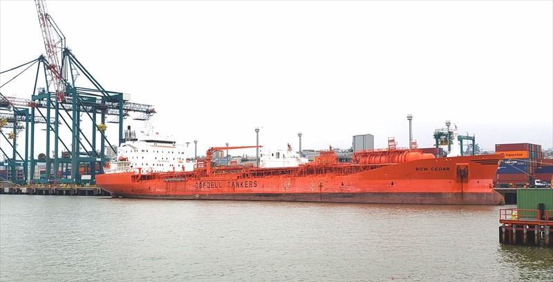 BOW CEDAR - Vesseljoin