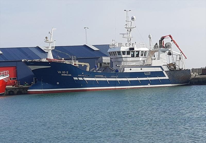 SILLE MARIE - Vesseljoin