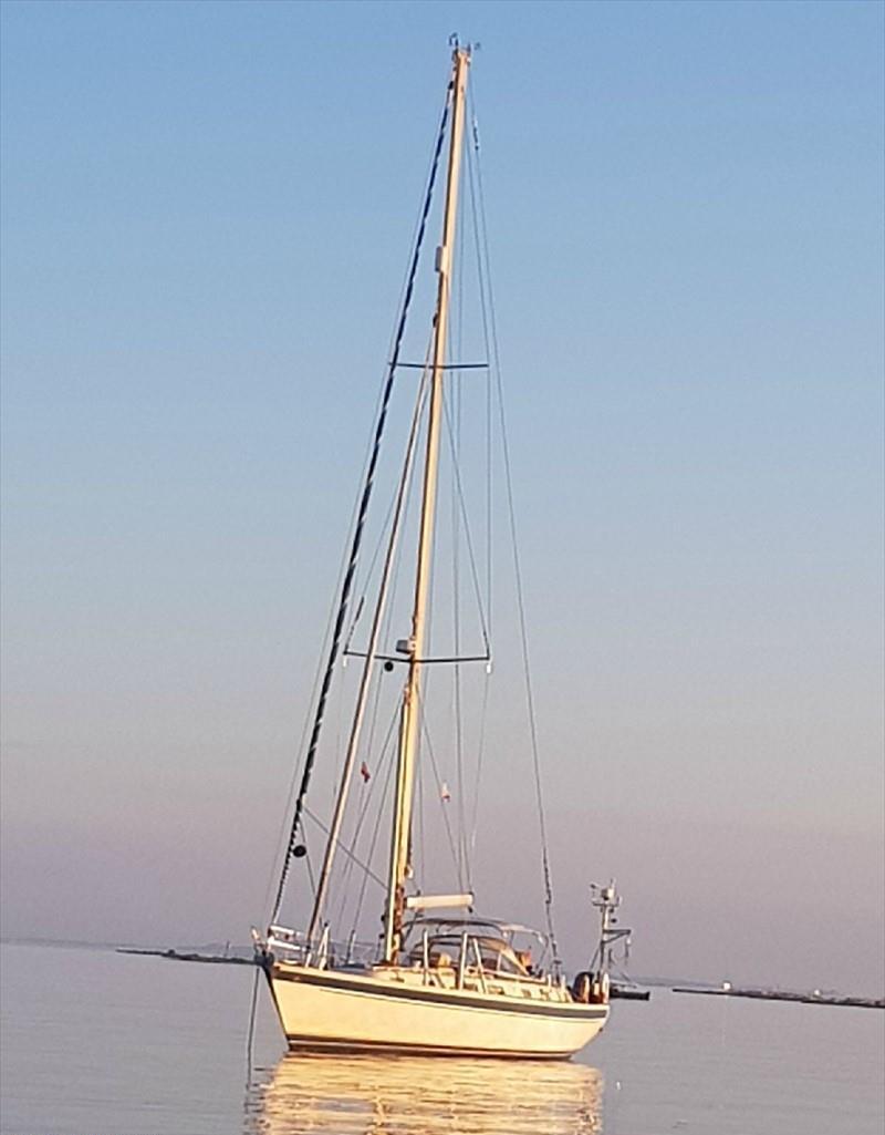 TULIPANO V - Vesseljoin