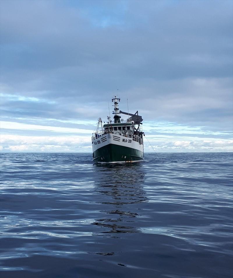 WLA 209 BLANKA - Vesseljoin