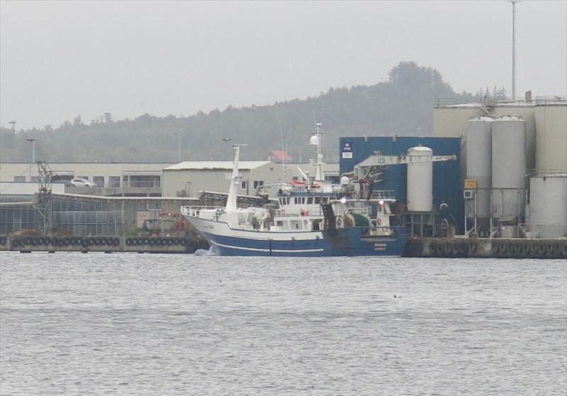 MOSTEIN - Vesseljoin