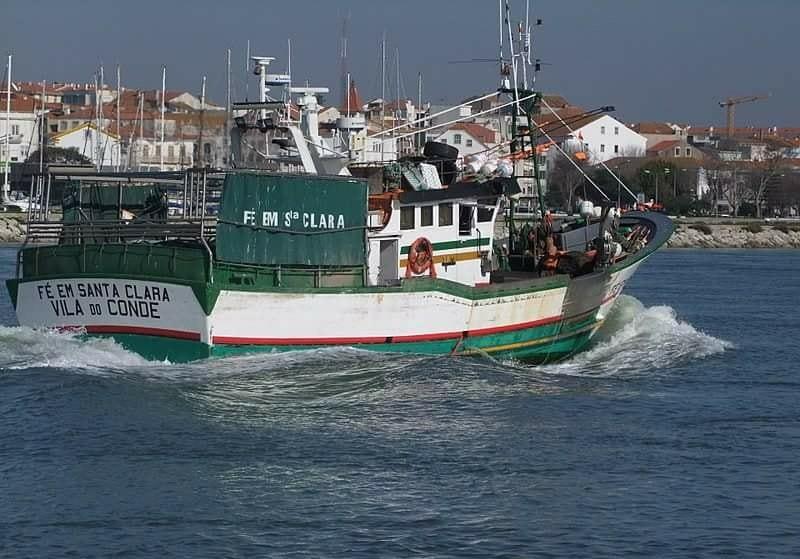 FE SANTA CLARA - Vesseljoin