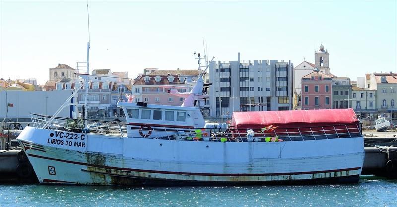 LIRIOS DO MAR - Vesseljoin