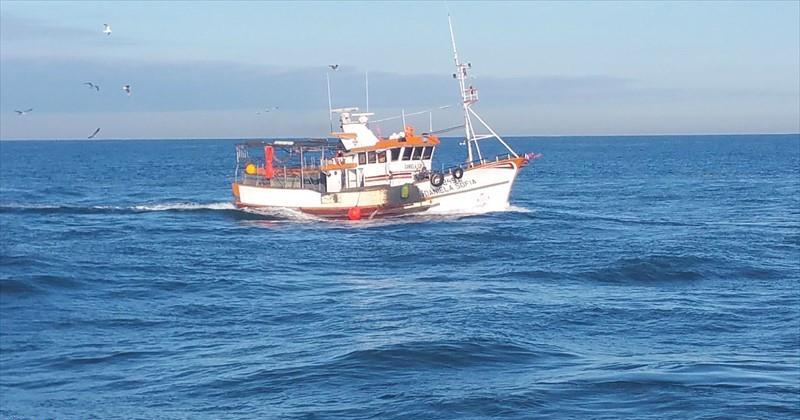 DANIELA SOFIA - Vesseljoin