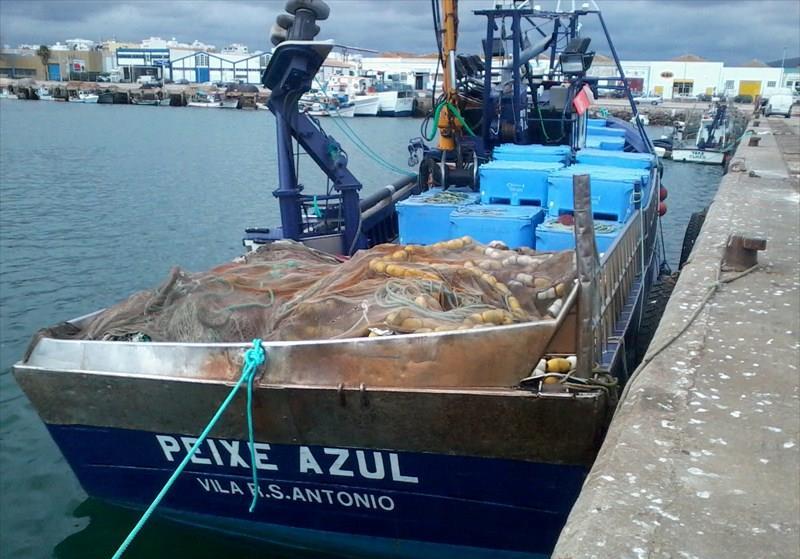 PEIXE AZUL - Vesseljoin