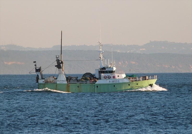 DELPHINUS - Vesseljoin