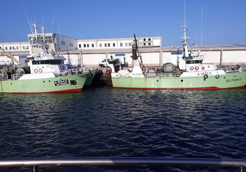 DELPHINUS - Vesseljoin