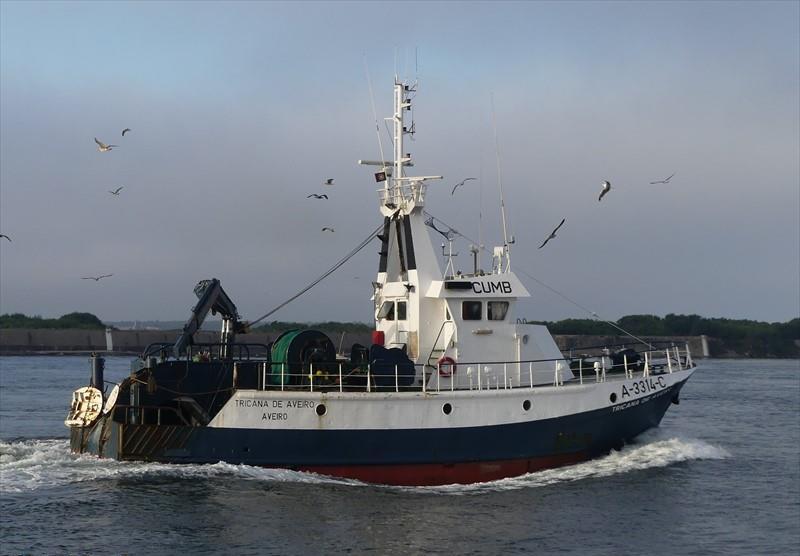 TRICANA DE AVEIRO - Vesseljoin