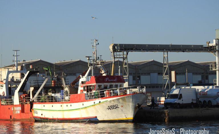 PESCAL - Vesseljoin
