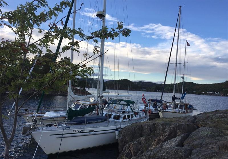 RAPHAEL - Vesseljoin