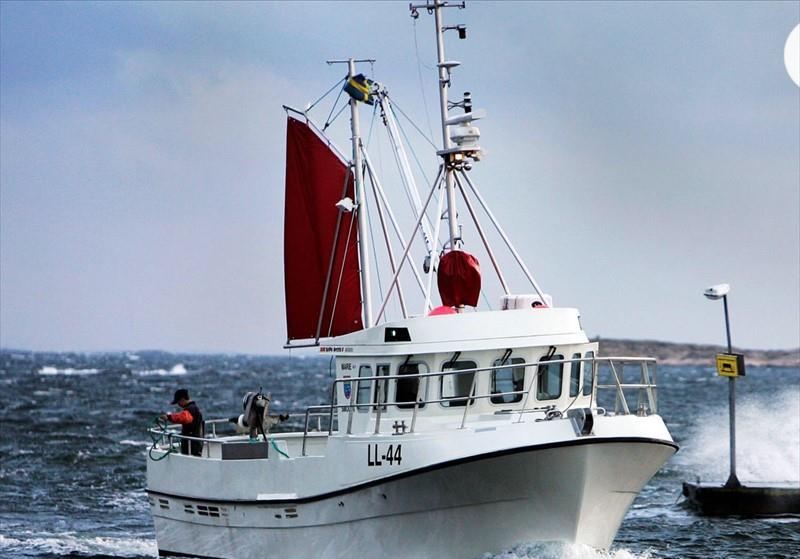 LL44 MARIE - Vesseljoin