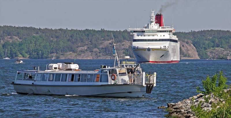 DELFIN XII - Vesseljoin