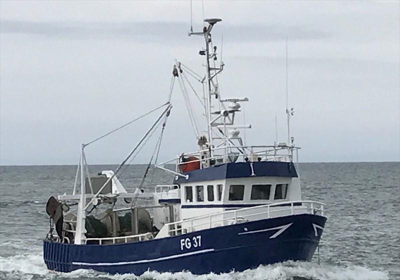 EVELINA FG37 - Vesseljoin