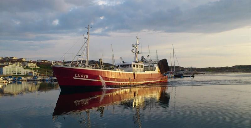 SVANVIK - Vesseljoin