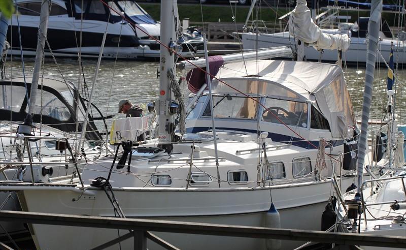 DORA THE EXPLORER - Vesseljoin