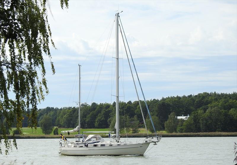 DORA THE EXPLORER - Vesseljoin