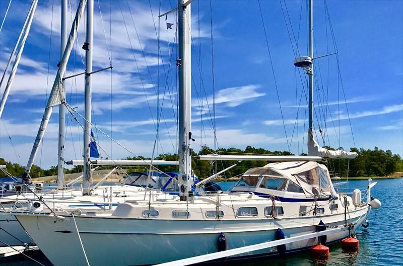 DORA THE EXPLORER - Vesseljoin