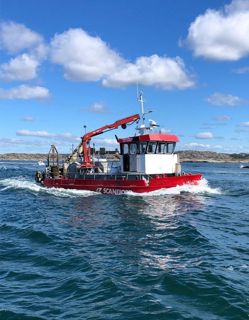 FJORD FRISLAND - Vesseljoin