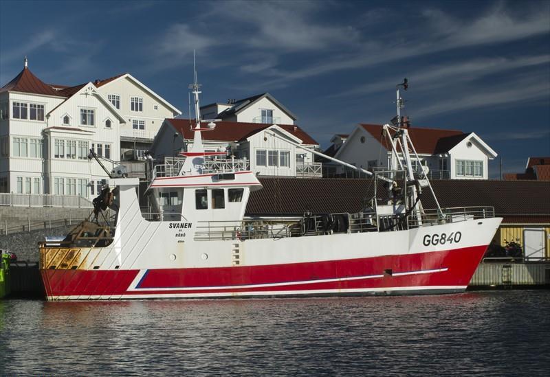 SVANEN AV RORO - Vesseljoin