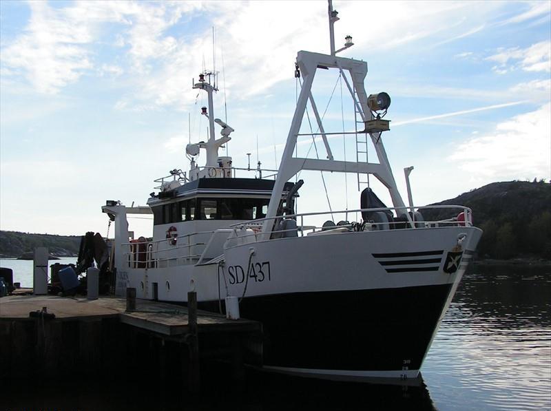 VIKEN AV EDSVIK - Vesseljoin