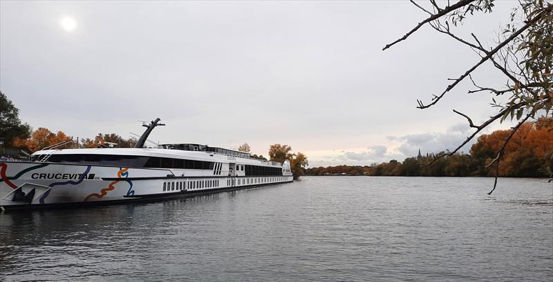 CRUCEVITA - Vesseljoin