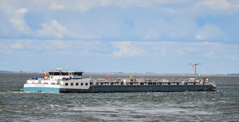 BACCHUS - Vesseljoin