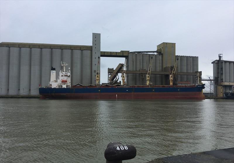 HALIL SAHIN - Vesseljoin