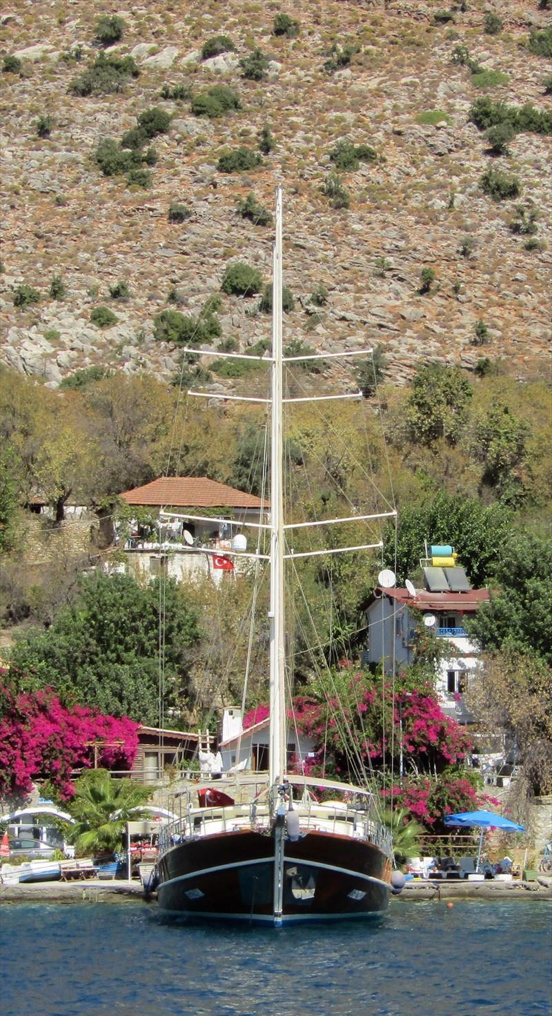 JUNIOR ORCUN - Vesseljoin