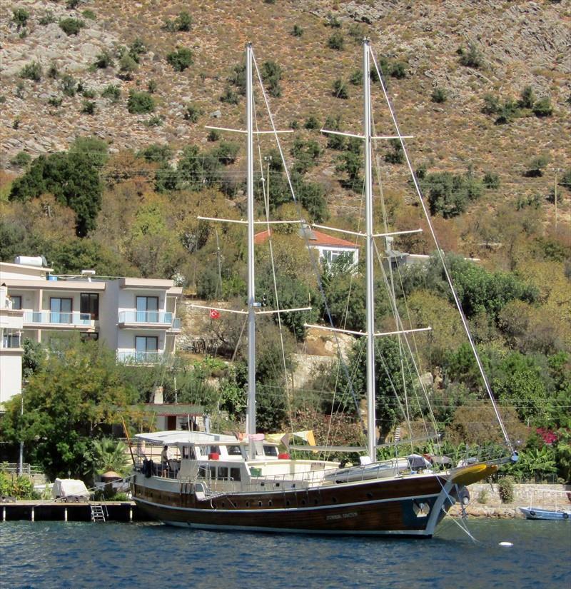 JUNIOR ORCUN - Vesseljoin