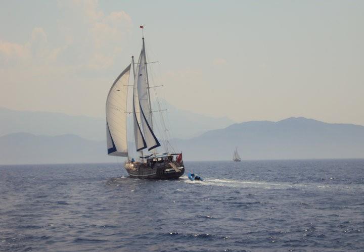 PRENSES LILA - Vesseljoin