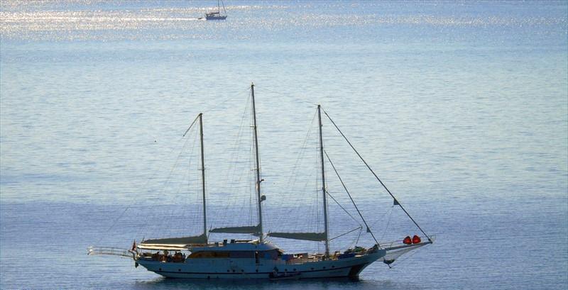 BELLA MARE - Vesseljoin