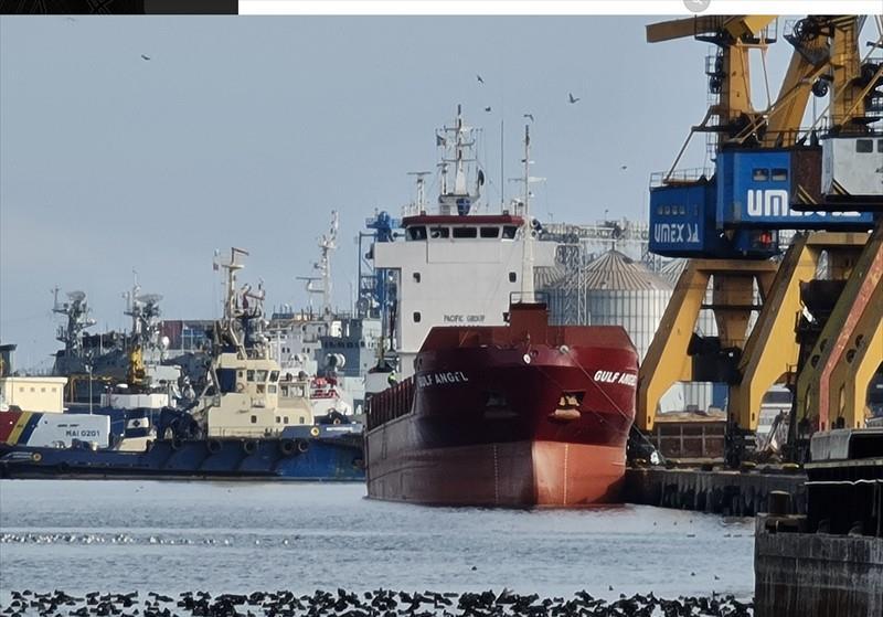 GULF ANGEL - Vesseljoin