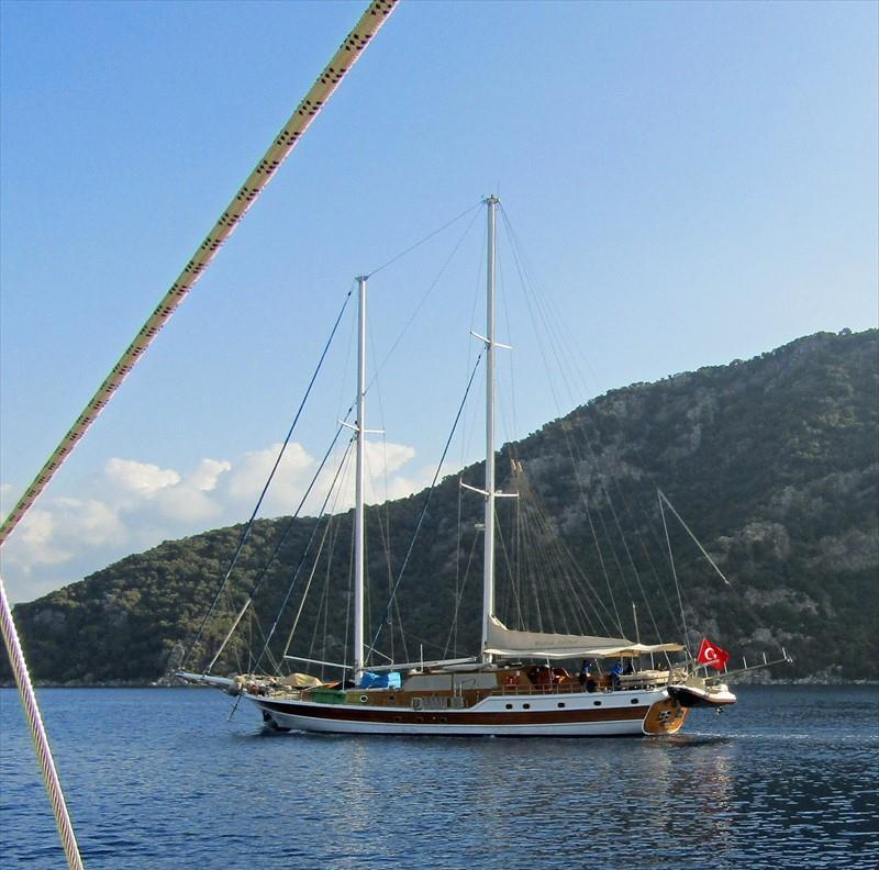 WICKED FELINA - Vesseljoin