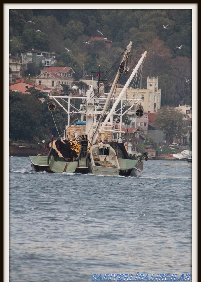 SULEYMAN GIRIT - Vesseljoin