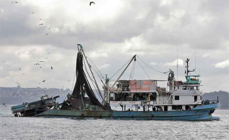 AZIZLER 1 - Vesseljoin