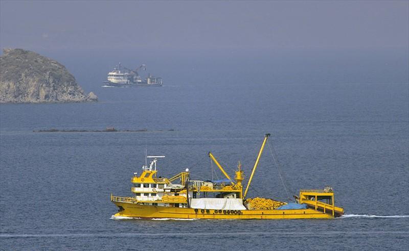 BASOGLU BALIKCILIK 1 - Vesseljoin