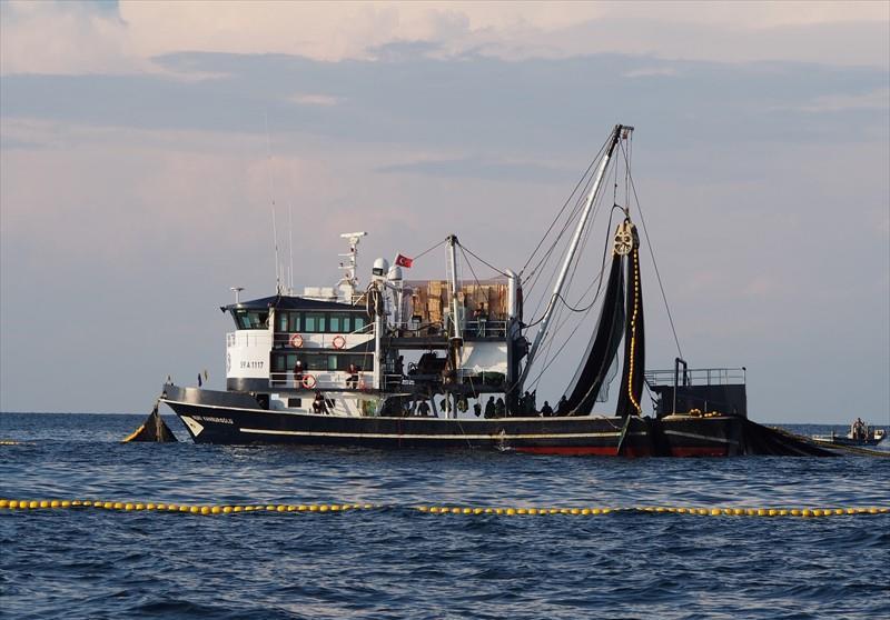 NURI KANBUROGLU - Vesseljoin