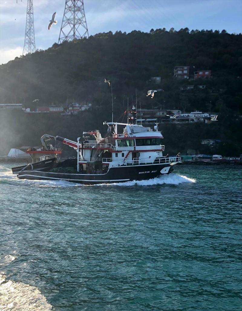 BALTIK ALI - Vesseljoin