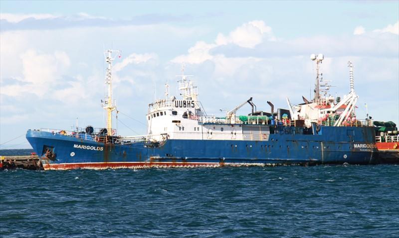 MARIGOLDS - Vesseljoin