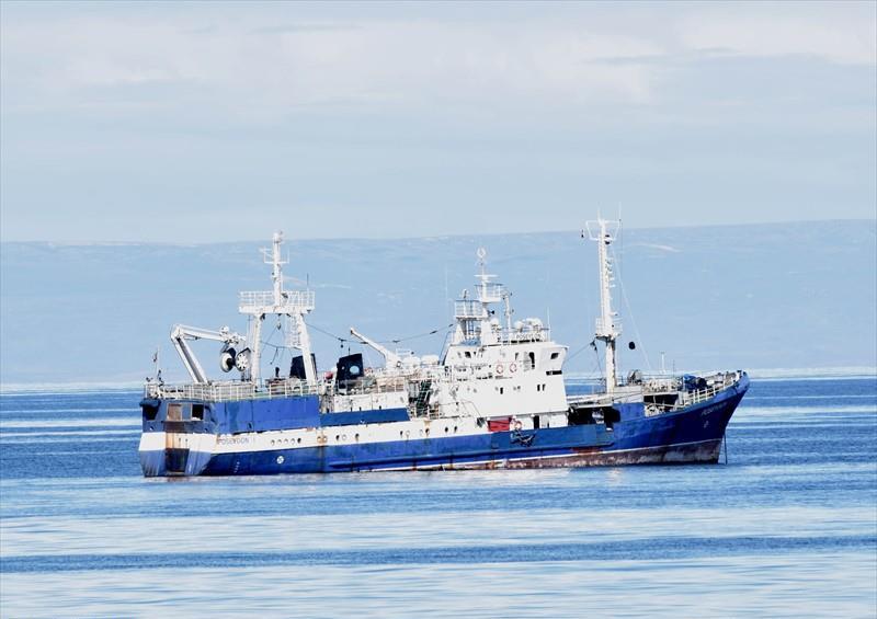 MARIGOLDS - Vesseljoin